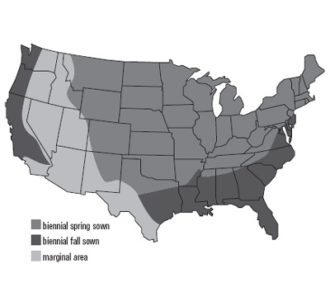 Sweet Clovers - SARE