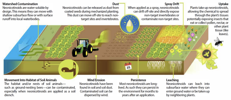 Farming Practices That Can Put Soil Health at Risk - SARE