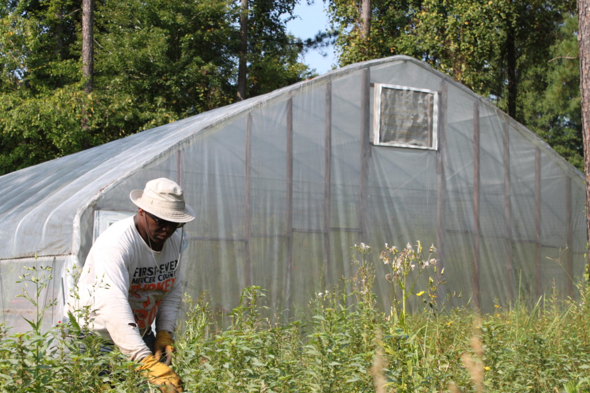 Ecological Pest Management - SARE