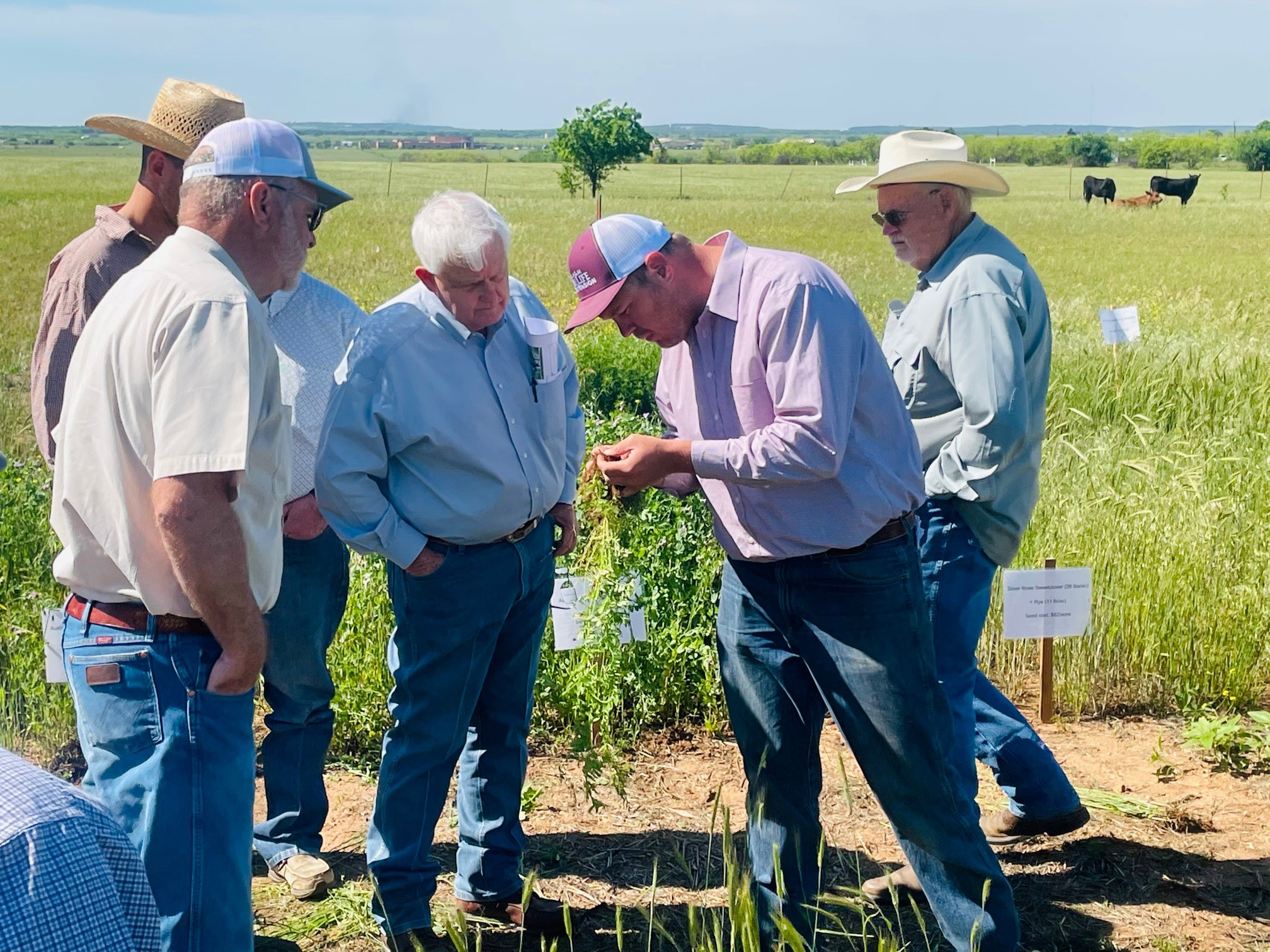 Southern SARE 2023-2024 - SARE