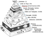 Our Living Soil - SARE