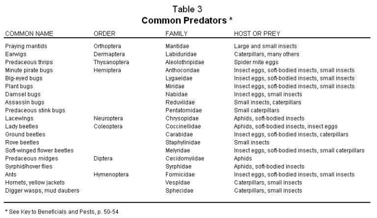 Table 3: Common Predators - SARE