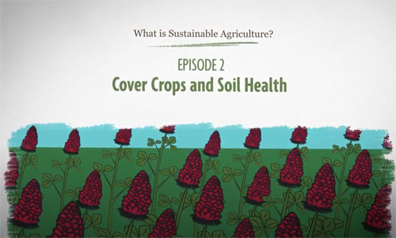 New “Cover Crops and Soil Health” Video from SARE - SARE